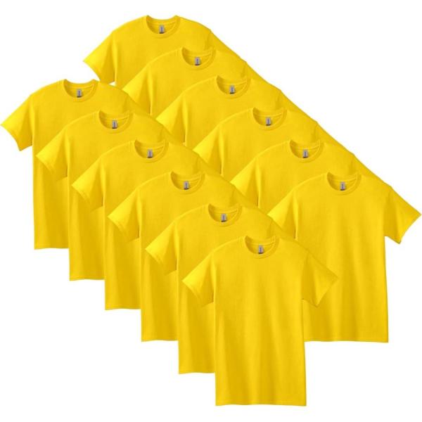 Gildan Adult Heavy Cotton T-Shirt, Style G5000, Multipack(Daisy (12 ...